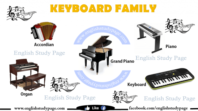 Musical Instruments in English - English Study Page