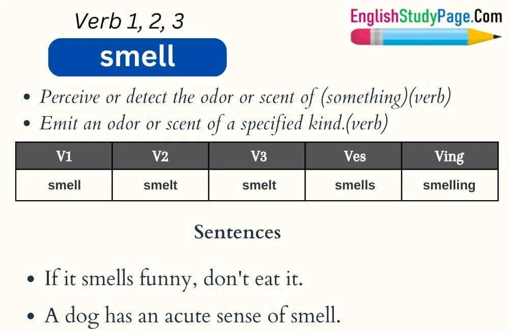 Smell Verb 1 2 3 Past And Past Participle Form Tense Of Smell V1 V2 V3 Smell Verb 1 2 3 Past And Past Participle Form Tense Of Smell V1 V2 V3